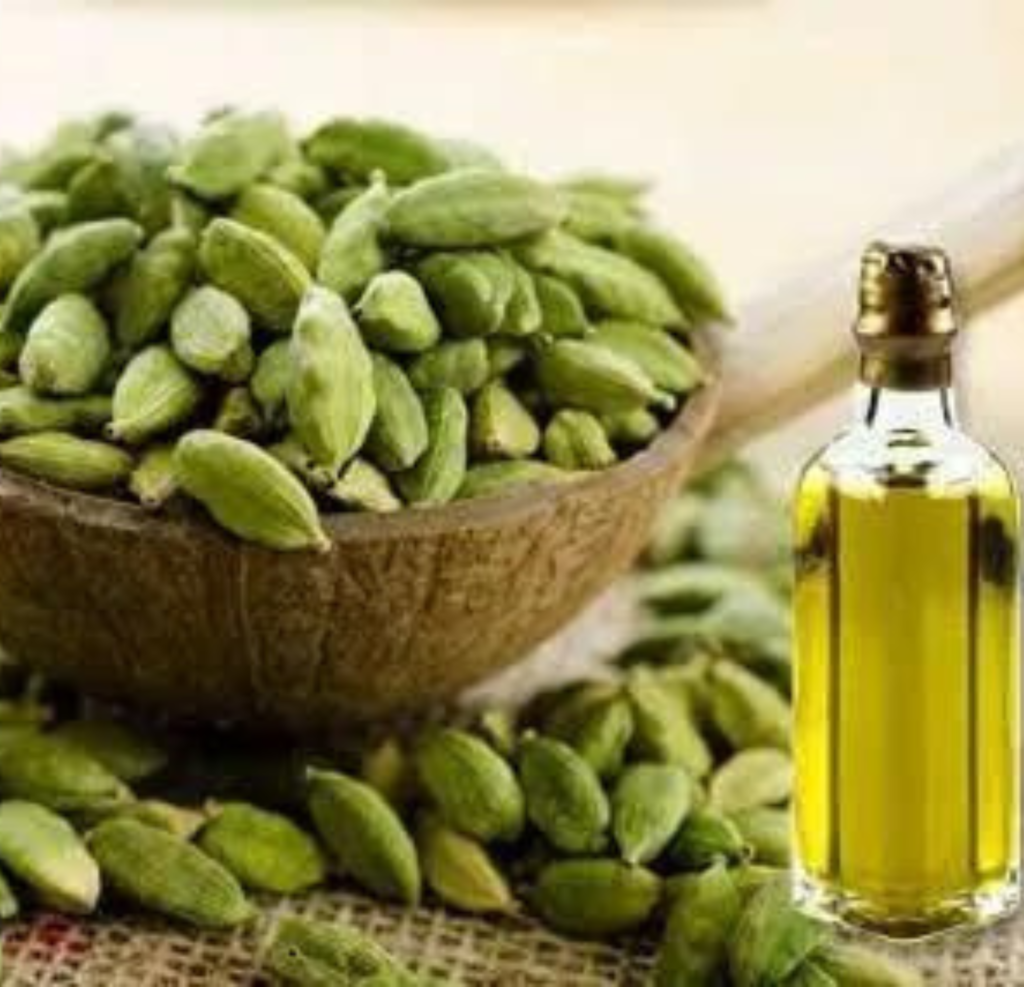 Cardamom oil - TS ARomatics